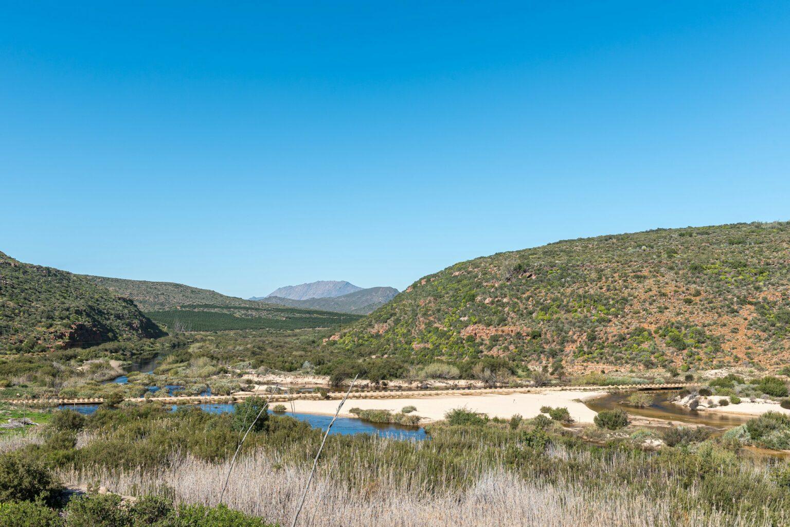 Blida : la ville des roses au cœur de l'Algérie