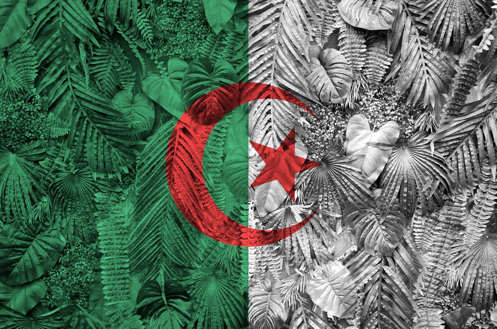 Le consulat d'Algérie à Paris : services, démarches et informations ...